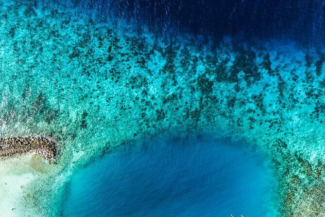 2 Tank Guided Dive half-day - An In-Depth Look at the 2 Tank Guided Dive Experience in Curacao