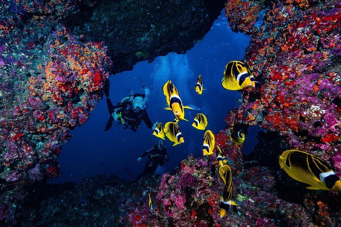 2 Tank Lanai Cathedral Scuba Dive Via Boat for Certified Divers - A Deep Dive into the Lanai Cathedral Experience