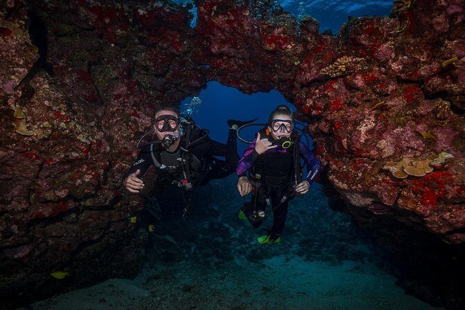 2 Tank Lanai Cathedral Scuba Dive Via Boat for Certified Divers - Final Thoughts: Why It’s Worth Considering
