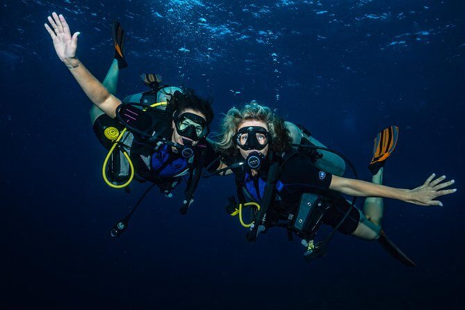 2-Tank Maui Turtle Scuba Dive or Snorkel Boat Tour - Who Should Consider This Tour?