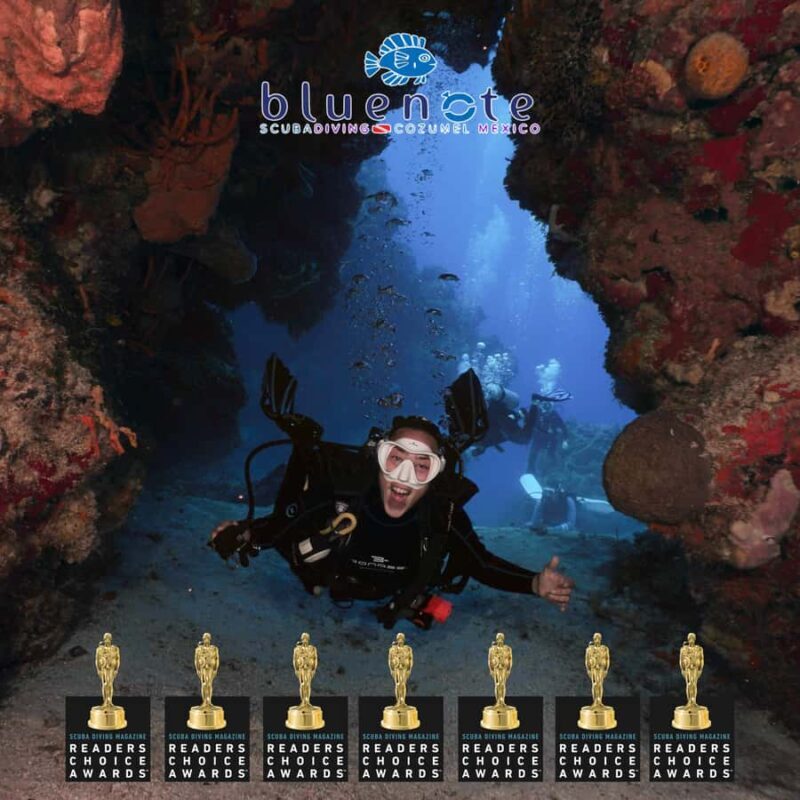 2 Tank Morning Cozumel Dives for Certified Divers - Key Points