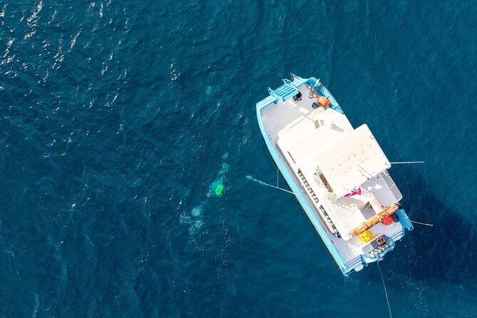 2 Tank Natural Reef & Wreck Dive Tour off Wai'anae - Key Points