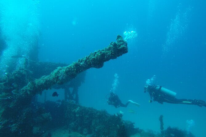 2 Tank Reef Dive in Mexico - A Closer Look at the 2 Tank Reef Dive Experience