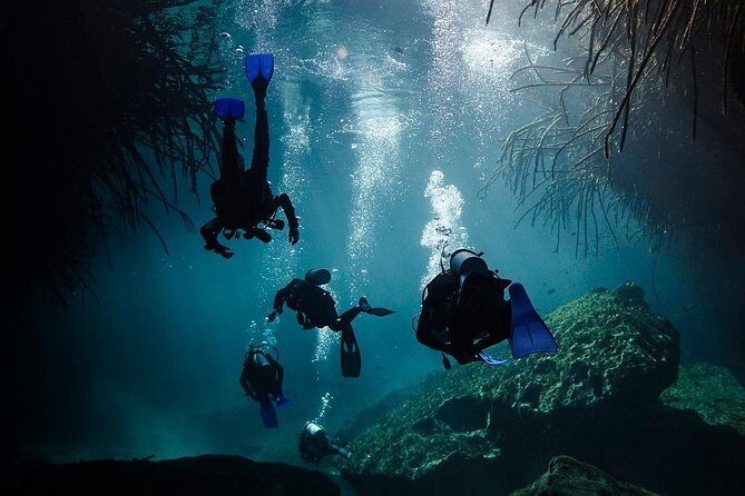 2 tanks Cenote Diving Adventure in Tulum for Certified Divers - Who Will Love This Tour?