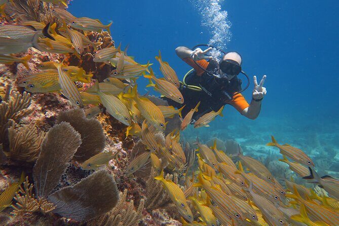 2 Tanks Dives Cancun Underwater Museum for Certified Divers - FAQ