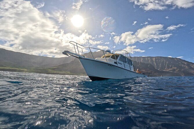 2 Tanks Scuba Dive Kaua'i from a Boat - Who Should Consider This Tour?