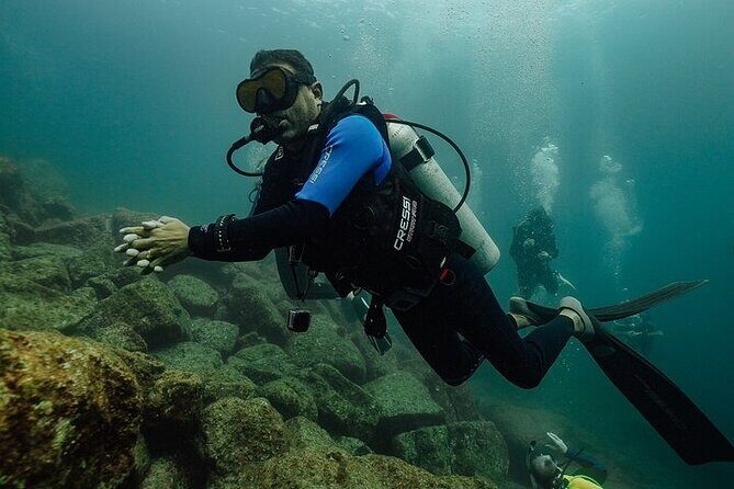 2 Tanks Scuba Diving in La Paz - What Travelers Are Saying (Based on the Limited Reviews)