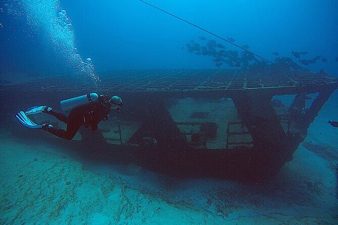 2 Tanks Scuba Diving Wreck and Reef in Cancun for Certified Divers - The Experience: What Makes It Special