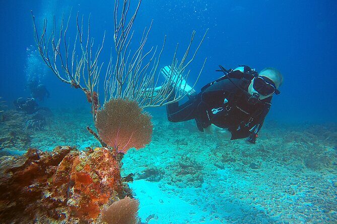2 Tanks Scuba Diving Wreck and Reef in Cancun for Certified Divers - FAQ