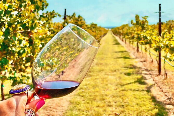 2 to 5 Guests Fredericksburg Private Mercedes SUV Wine Tour - Visiting Fredericksburg: The Heart of Texas Wine Country