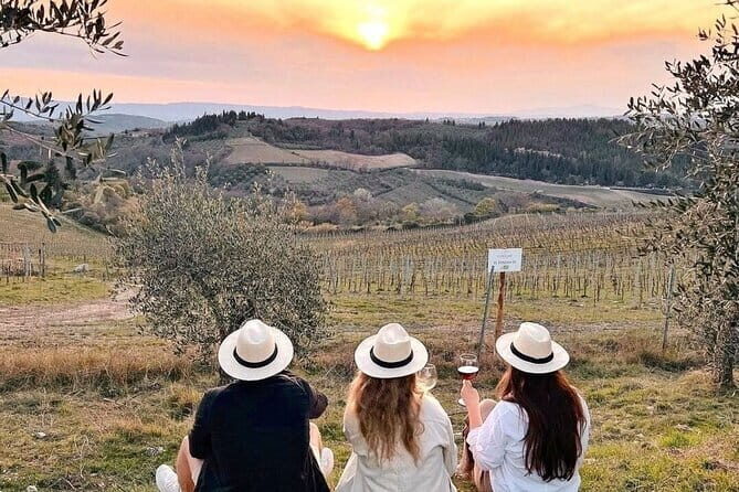 2 wineries Chianti Wine Tasting & Vineyards Walk Private Tour - Exploring the 2 Wineries Chianti Wine Tasting & Vineyards Walk Private Tour
