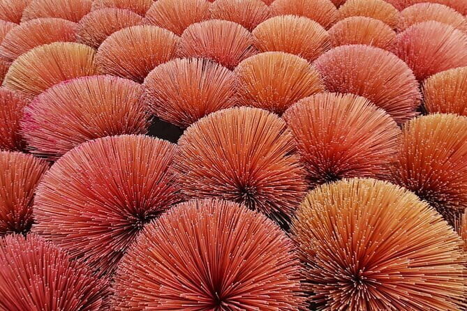 20-Day Package Through Southeast Asia - The Vibrant Capital: Bangkok