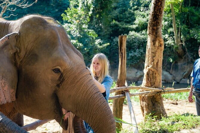 20-Day Package Through Southeast Asia - Northern Thailand and a Special Elephant Encounter