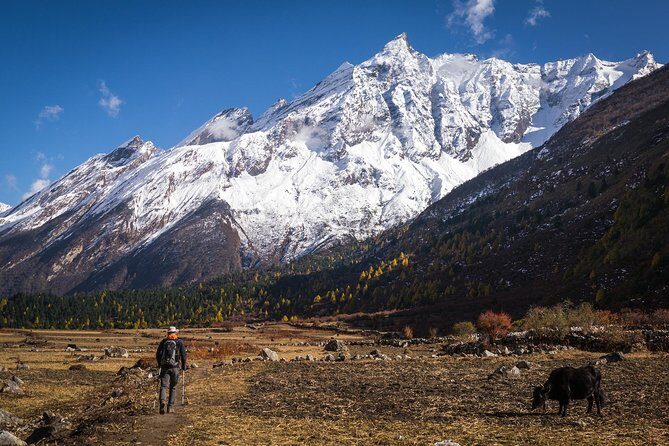 20 days Manaslu Rupina La Pass Homestay Trek - Exploring Nepal’s Hidden Beauty: The Trekking Experience