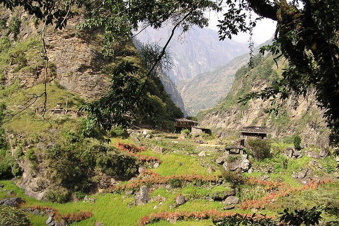 20 days Manaslu Rupina La Pass Homestay Trek - What Travelers Say & Why Guides Matter