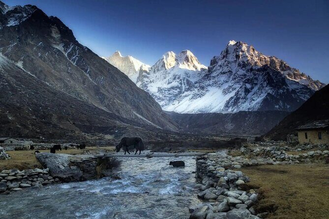 20 Days Private Kanchenjunga Circuit Trek - Transportation and Logistics