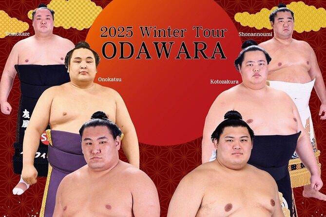 2025 1 Day Winter Sumo Official Provincial Tour at Odawara - Key Points