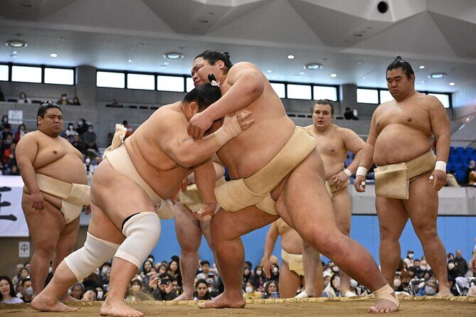 2025 1 Day Winter Sumo Official Provincial Tour at Odawara - An In-Depth Look at the Tour