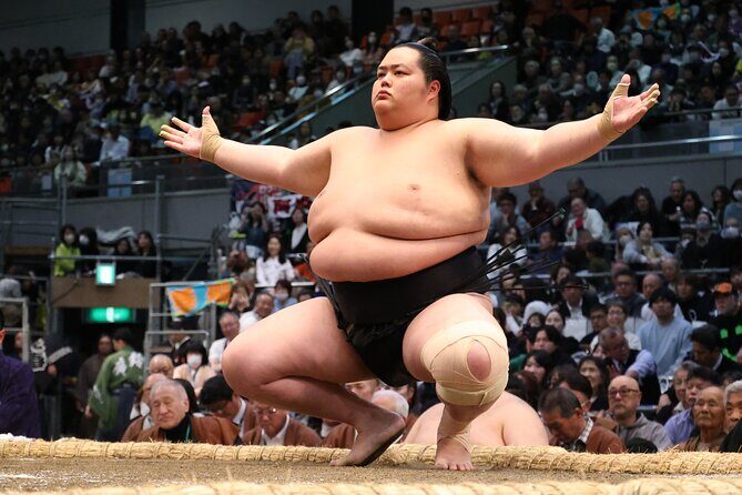 2025 1 Day Winter Sumo Official Provincial Tour at Odawara - FAQ