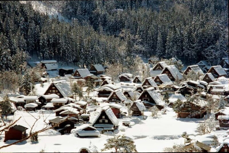 2025 Autumn Highlights from Takayama: Kamikochi, Shirakawago - Practical Details and Cost-Effectiveness