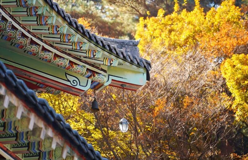 2025 Jeju Autumn Tour with Pink Muhly Festival Hotel pickup - Key Points