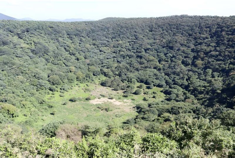 2025 Jeju Autumn Tour with Pink Muhly Festival Hotel pickup - The Sum Up