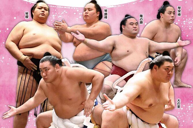 2026 Spring Sumo Tour - Regional Exhibition Viewing - The Value of This Experience