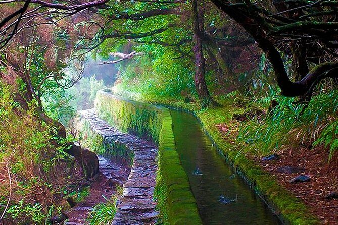 "25 Fountains" Walk / Lost In The Beautiful Forest - The Value and Practical Aspects