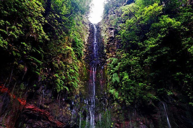 "25 Fountains" Walk / Lost In The Beautiful Forest - FAQ