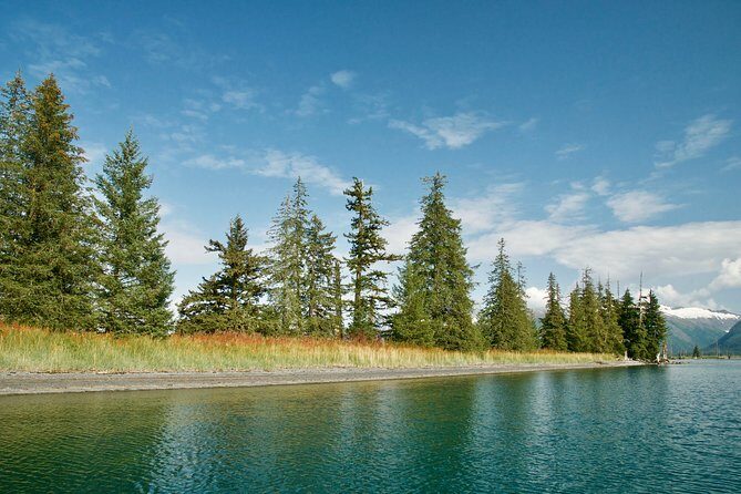 26 Glacier Cruise and Coach from Anchorage, AK - Final Thoughts: Is It Worth It?