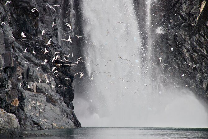 26 Glacier Tour, Self-Drive from Anchorage, AK - Final Thoughts: Who Will Love This Tour?