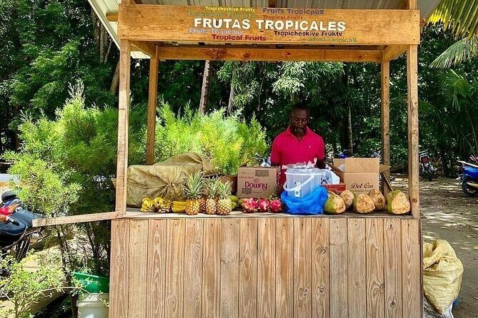 27 Waterfalls Adventure Private Tour in Charcos de Damajagua - The Practicalities: Transportation, Timing, and Group Size