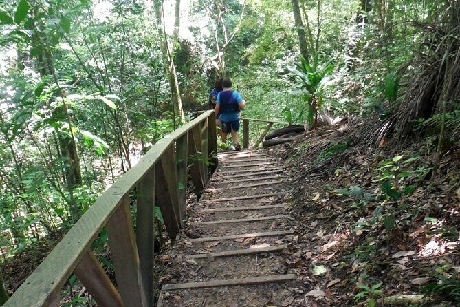 27 Waterfalls of Damajagua  Adventure Tour from Puerto Plata - Final Thoughts: Who Should Consider This Tour?