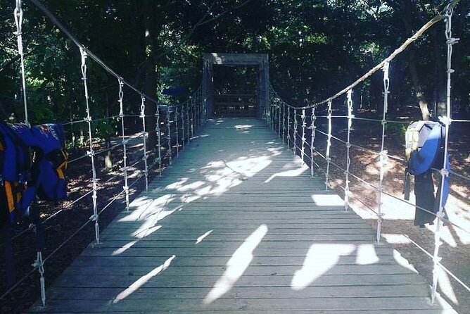 27 Waterfalls With Locals Expert Guides from Damajagua Entrance - Who Will Love This Tour?