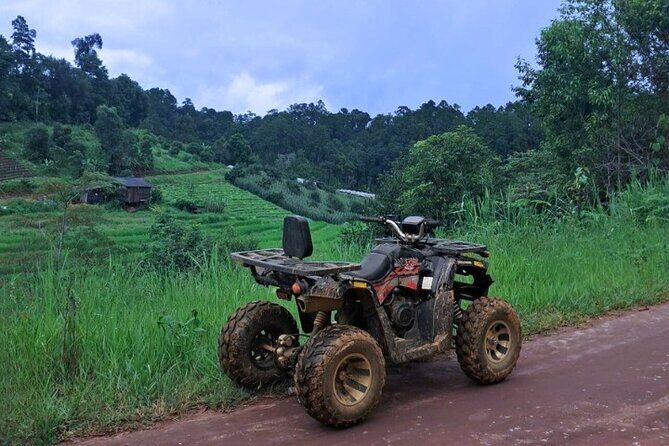 2D1N: ATV Ride, Elephant Sanctuary, Overnight in Stylish Dome - Authentic Experiences and Real Feedback