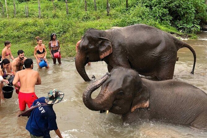 2D1N: ATV Ride, Elephant Sanctuary, Overnight in Stylish Dome - The Practical Side: Price and Booking