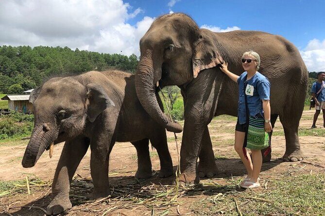 2D1N: ATV Ride, Elephant Sanctuary, Overnight in Stylish Dome - The Sum Up