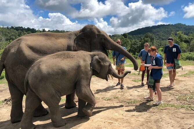 2D1N: ATV Ride, Elephant Sanctuary, Overnight in Stylish Dome - FAQ