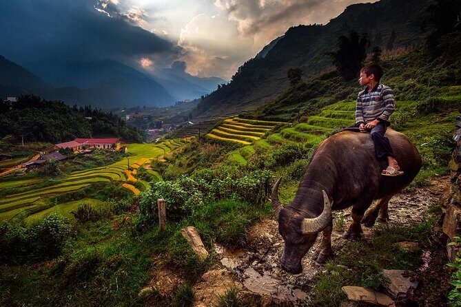 2D1N Buffalo trek by Hmong Sister House and Trekking - Introduction: What Is the Buffalo Trek Experience?
