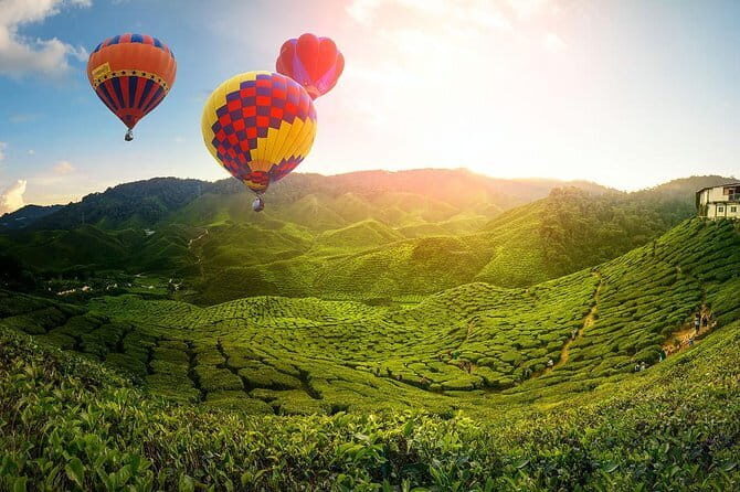 2D1N Cameron Highlands, Batu Caves, Ipoh, Kuala SelangorFireflies - Key Points
