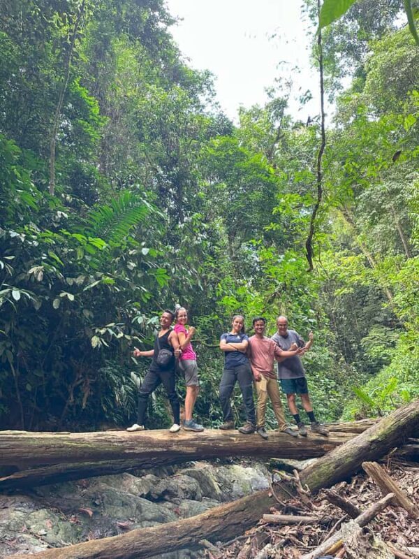 2D1N Ethical Jungle Trekking with Orangutans in Bukit Lawang - Key Points