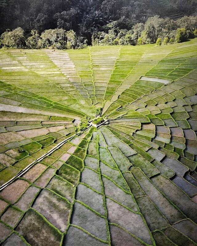 2D1N Exotic Waerebo Village Tour from Labuan Bajo - An Introduction to Wae Rebo and Its Setting