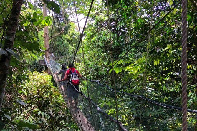 2d1n Kinabalu Park & Poring Canopy Walk & Desa Cow Farm Tour - FAQ