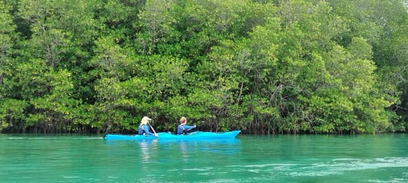 2D1N Komodo Kayak Tour - Kelor Island: A Short Trek with a View