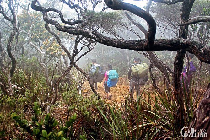 2d1n Mount Kinabalu Via Ferrata - Walk The Torq - What Sets This Tour Apart