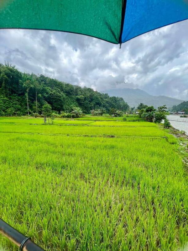 2D1N NORTHERN SABAH HIDDEN GEM & MARI MARI CULTURAL VILLAGE - Practical Details and Tips