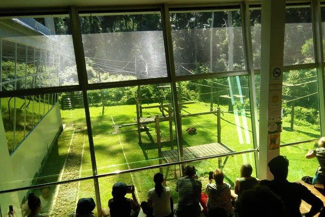 2D1N Sandakan Private Tour with Kinabatangan River Cruise - An In-Depth Look at the Experience