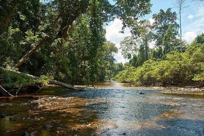 2D1N Taman Negara Explorer Tour from Kuala Lumpur - Key Points