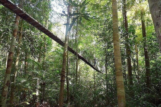 2D1N Taman Negara Explorer Tour from Kuala Lumpur - The Experience: Pros, Cons, and Real Traveler Insights