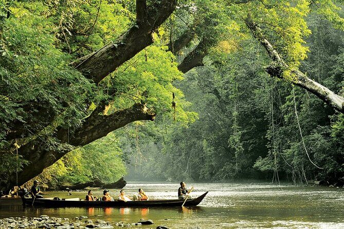 2D1N Taman Negara Rainforest Tour and Boat Ride - Key Points